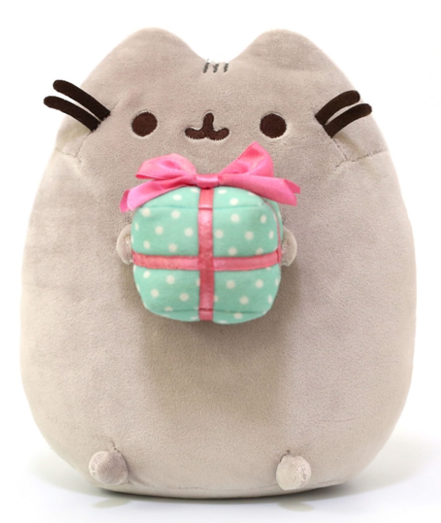 Pusheen With Gift Large