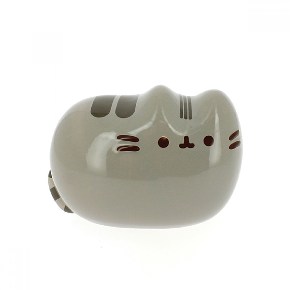 Pusheen Money Box